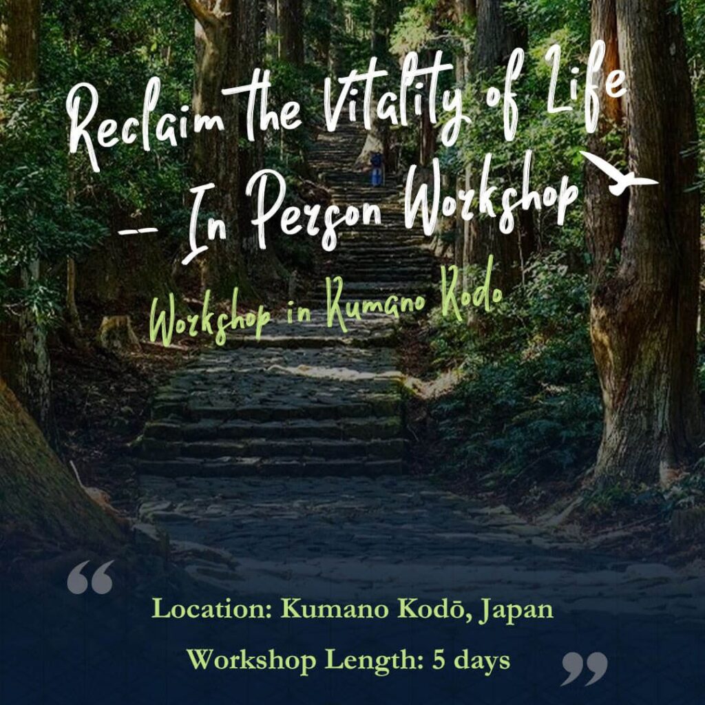 Yinuo Li – career,growth,education,truth